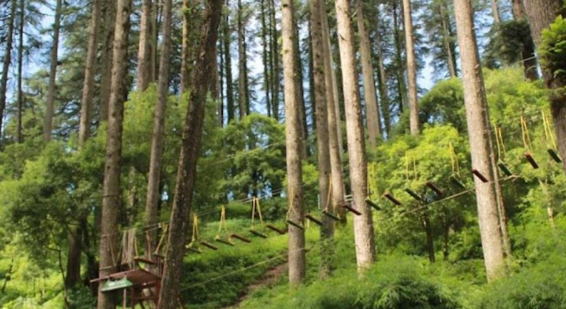 Dhanaulti Hillstation - Discover India