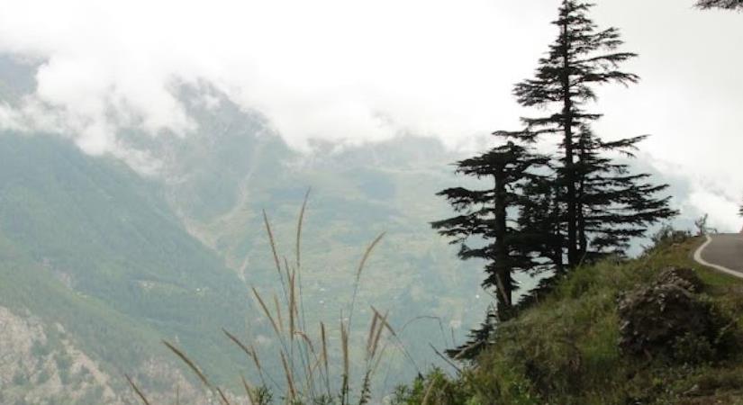 Fagu Off Beat Hillstation Shimla - Discover India