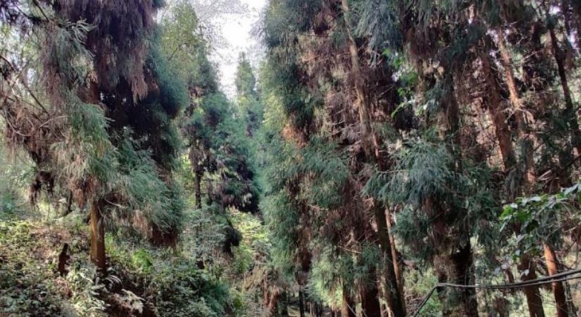 Neora National Park - Discover India