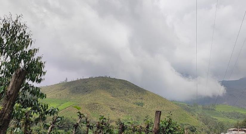 Pothamedu View Point Munnar - Discover India