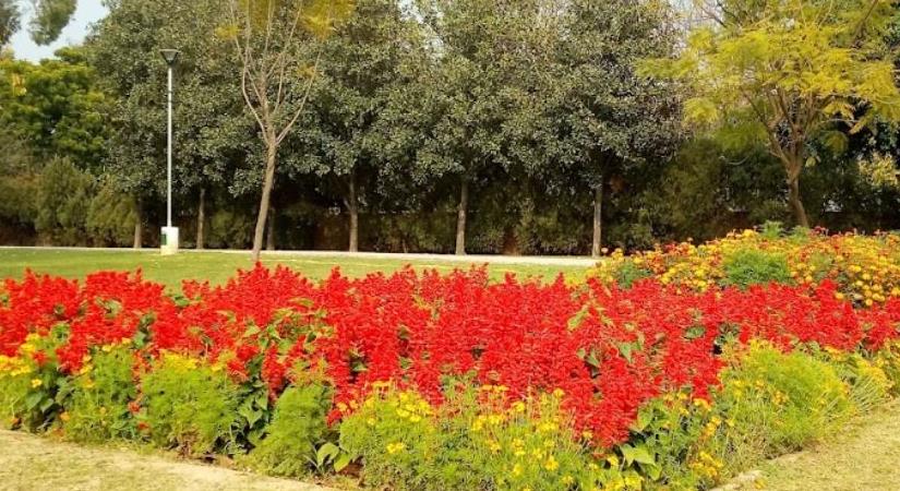 Rose Garden Chandigarh - Discover India