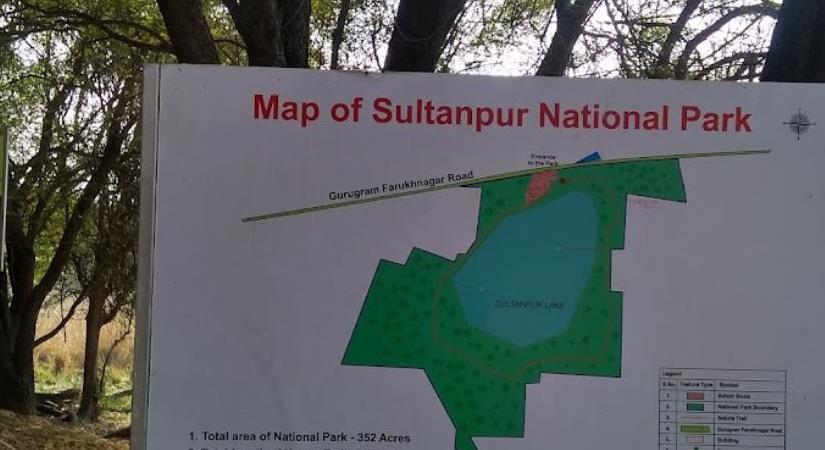 Sultanpur Bird Sanctuary - Discover India